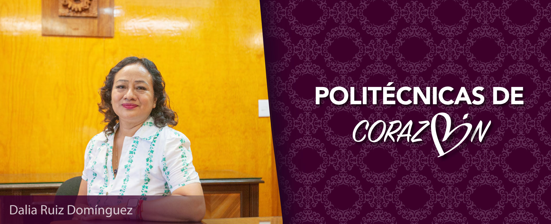 Instituto Politécnico Nacional | Mexican Institution - IPN