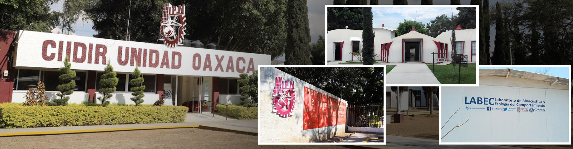 Instituto Politécnico Nacional | Mexican Institution - IPN