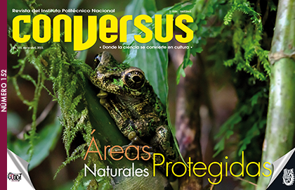 Revistas Anteriores de Conversus – DDiCyT | IPN Oficial