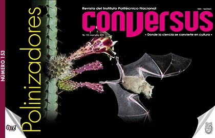 Revistas Anteriores de Conversus – DDiCyT | IPN Oficial